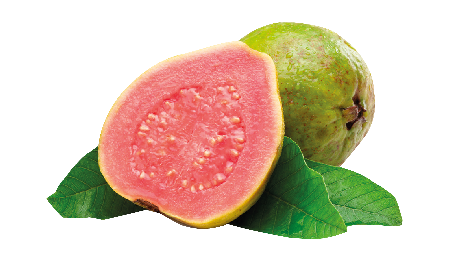 Goiaba – Fundação CSN